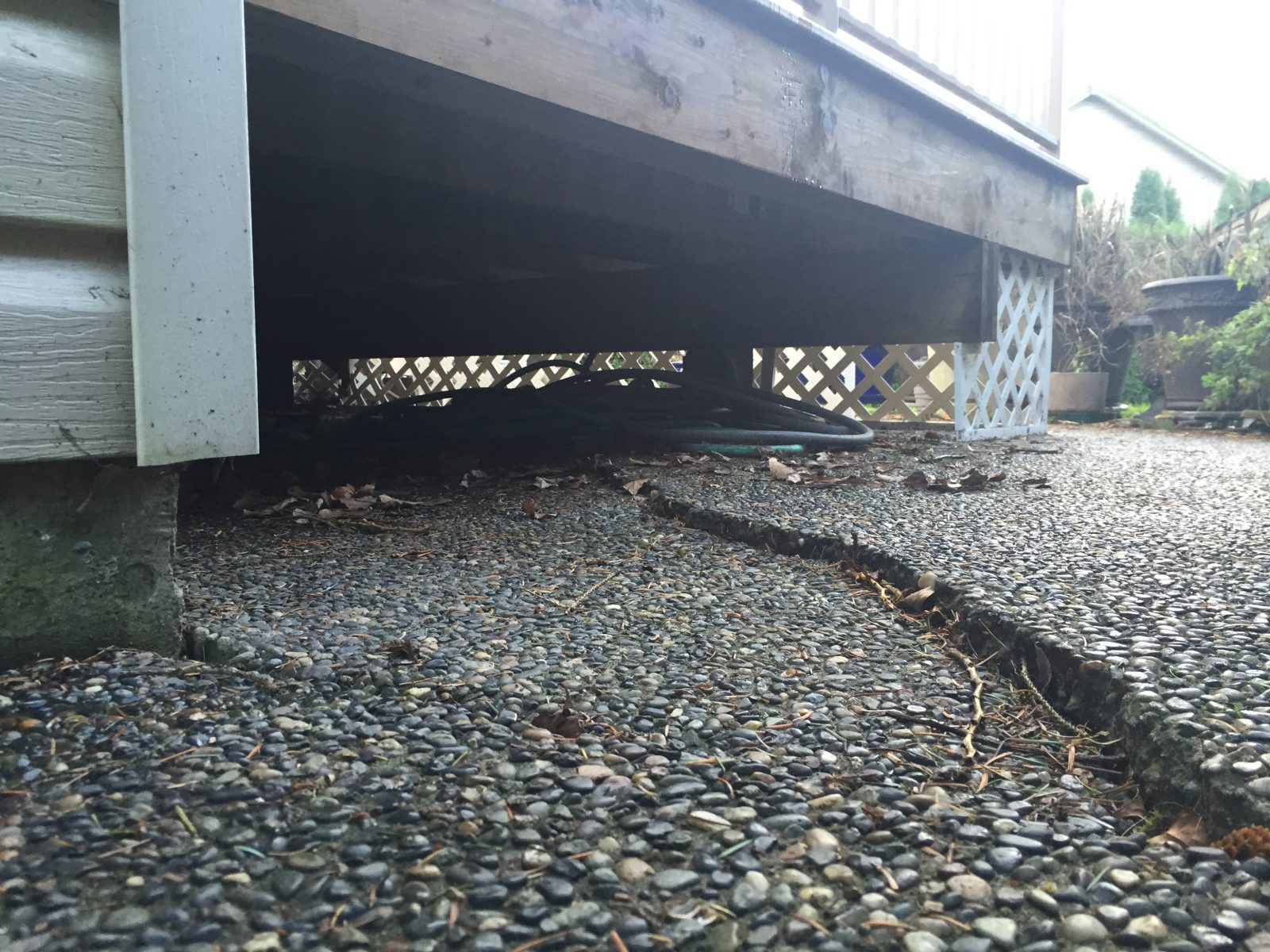 NexusPro | True Level Concrete, BC Concrete Repair