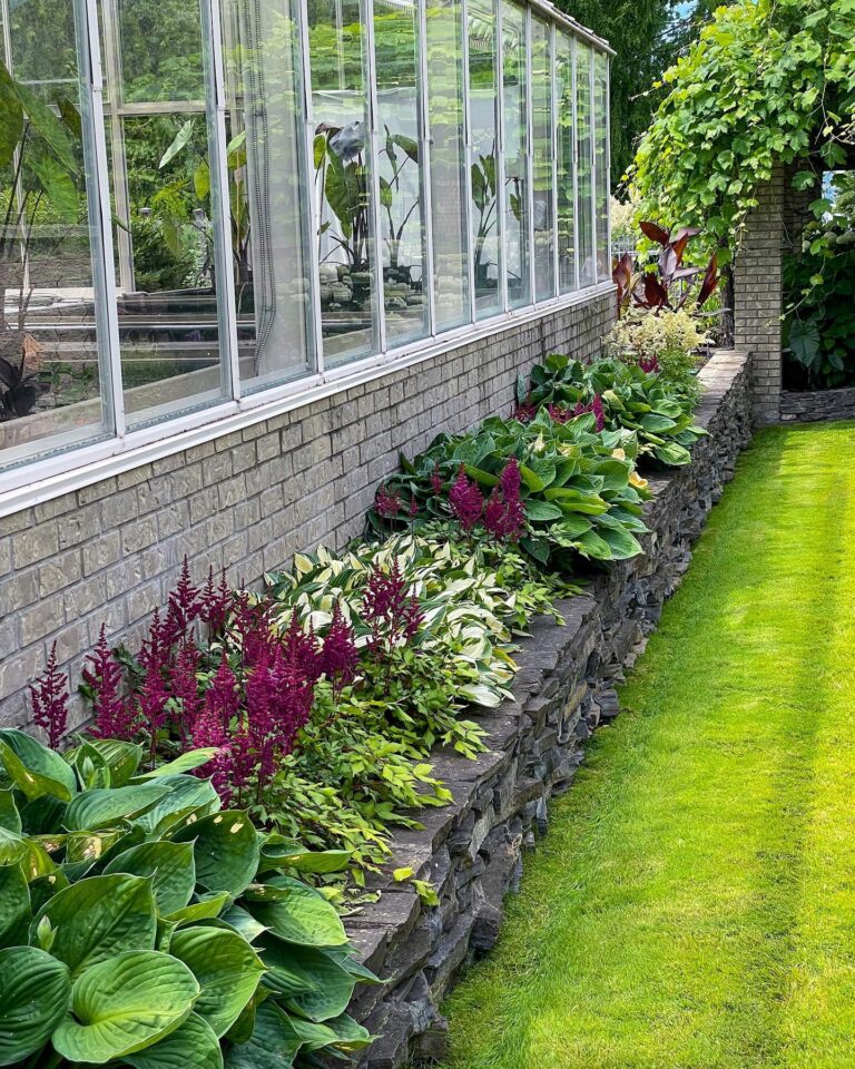 What to Put Around the Foundation of Your House: Fresh & Safe